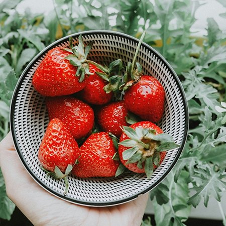 La Fragola conquista il marchio IGP
