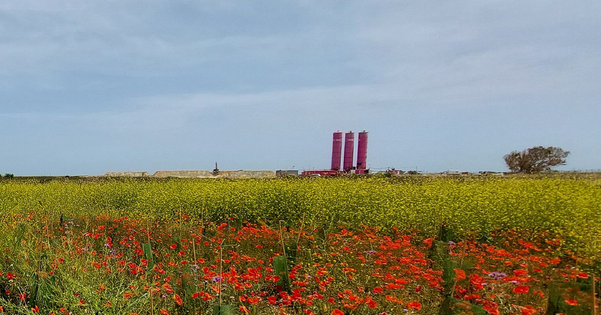 Eni Rewind for 2021: il report di sostenibilità | Eni Rewind