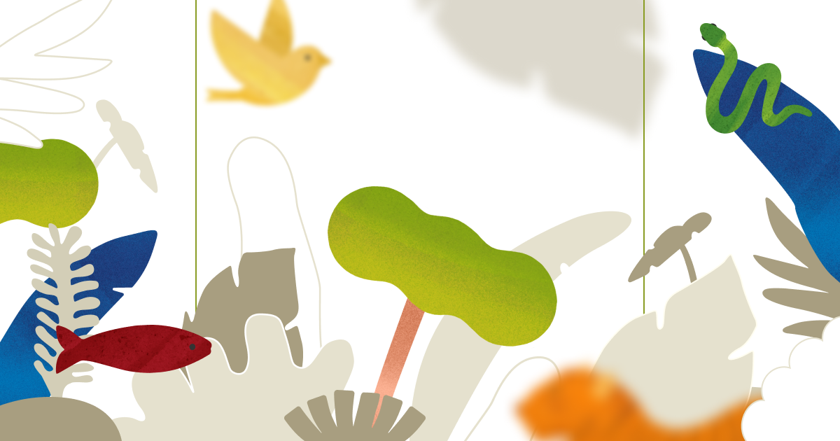 Eni's commitment to protecting biodiversity | Eni